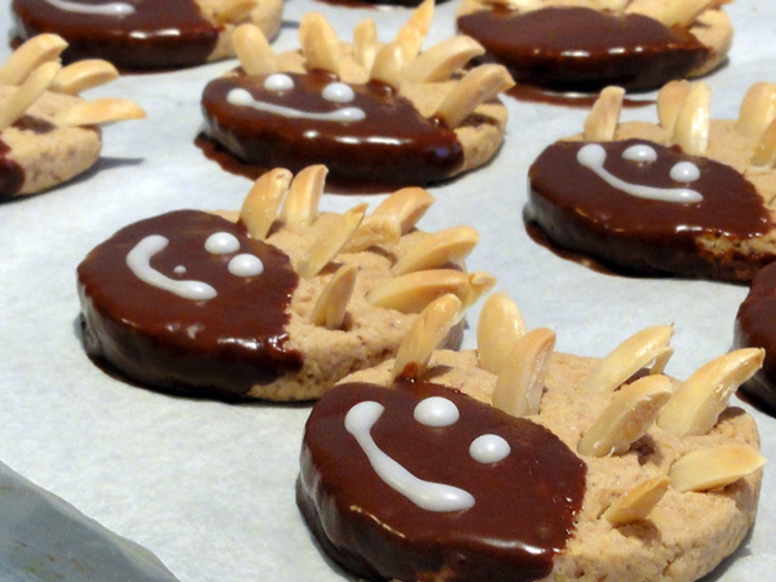 Boc-boc keksići - Coolinarika