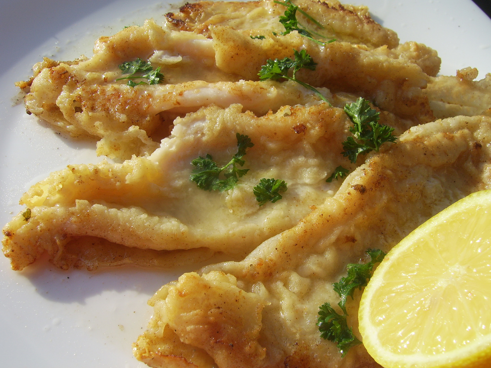 riba-list - Coolinarika