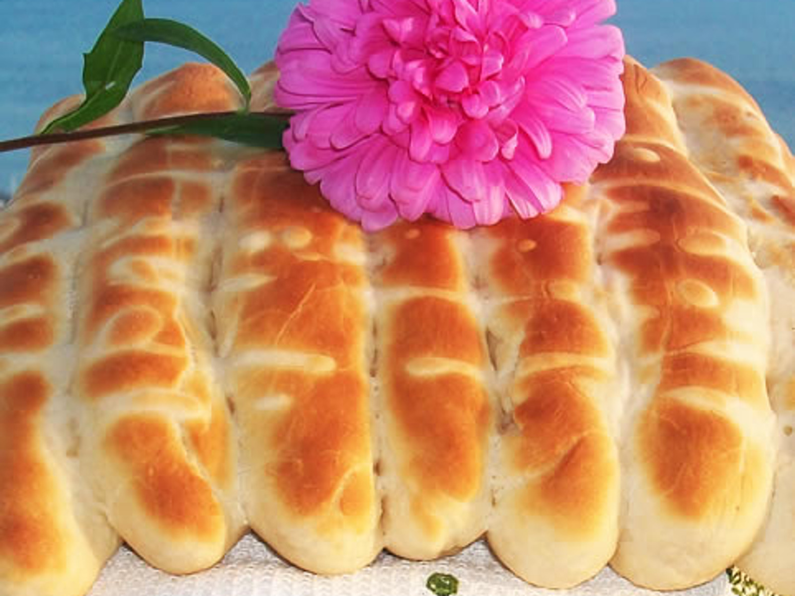 slanci - Coolinarika