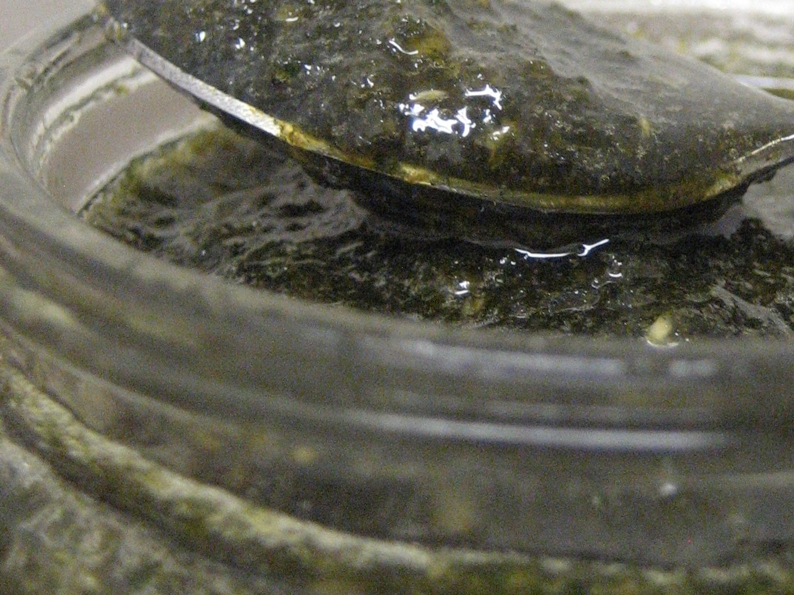 MED – KADULJA – HREN - Coolinarika