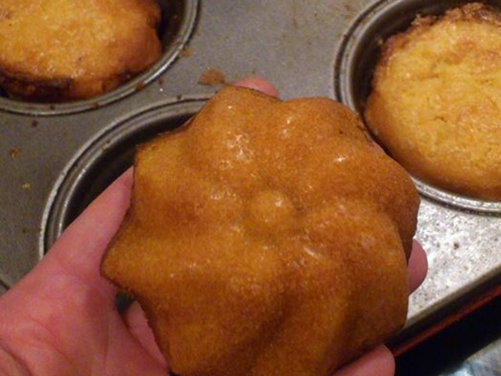 Projice - Coolinarika