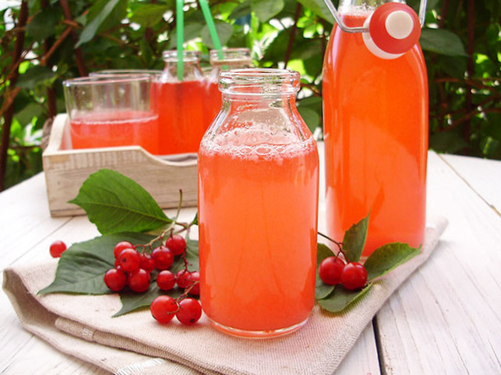 Sok od ribizla i limuna - Coolinarika