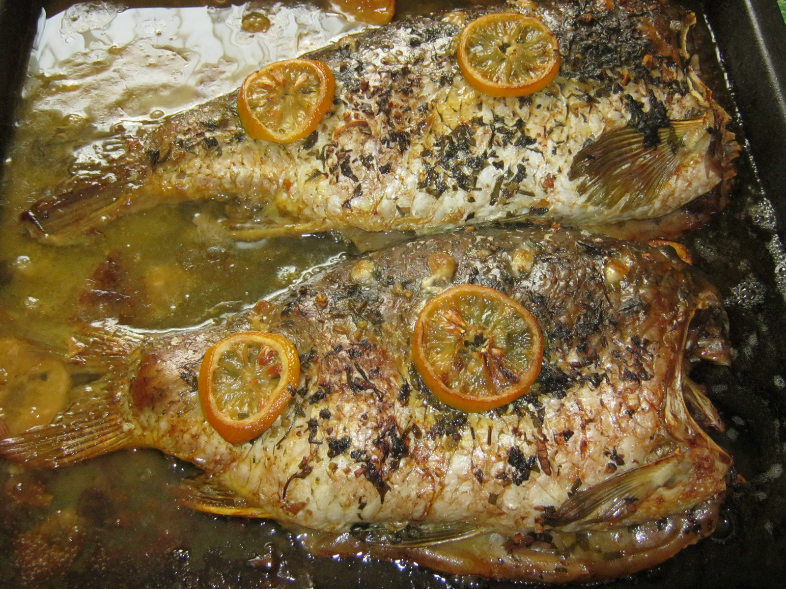 Pijani šaran- iz Banata! - Coolinarika