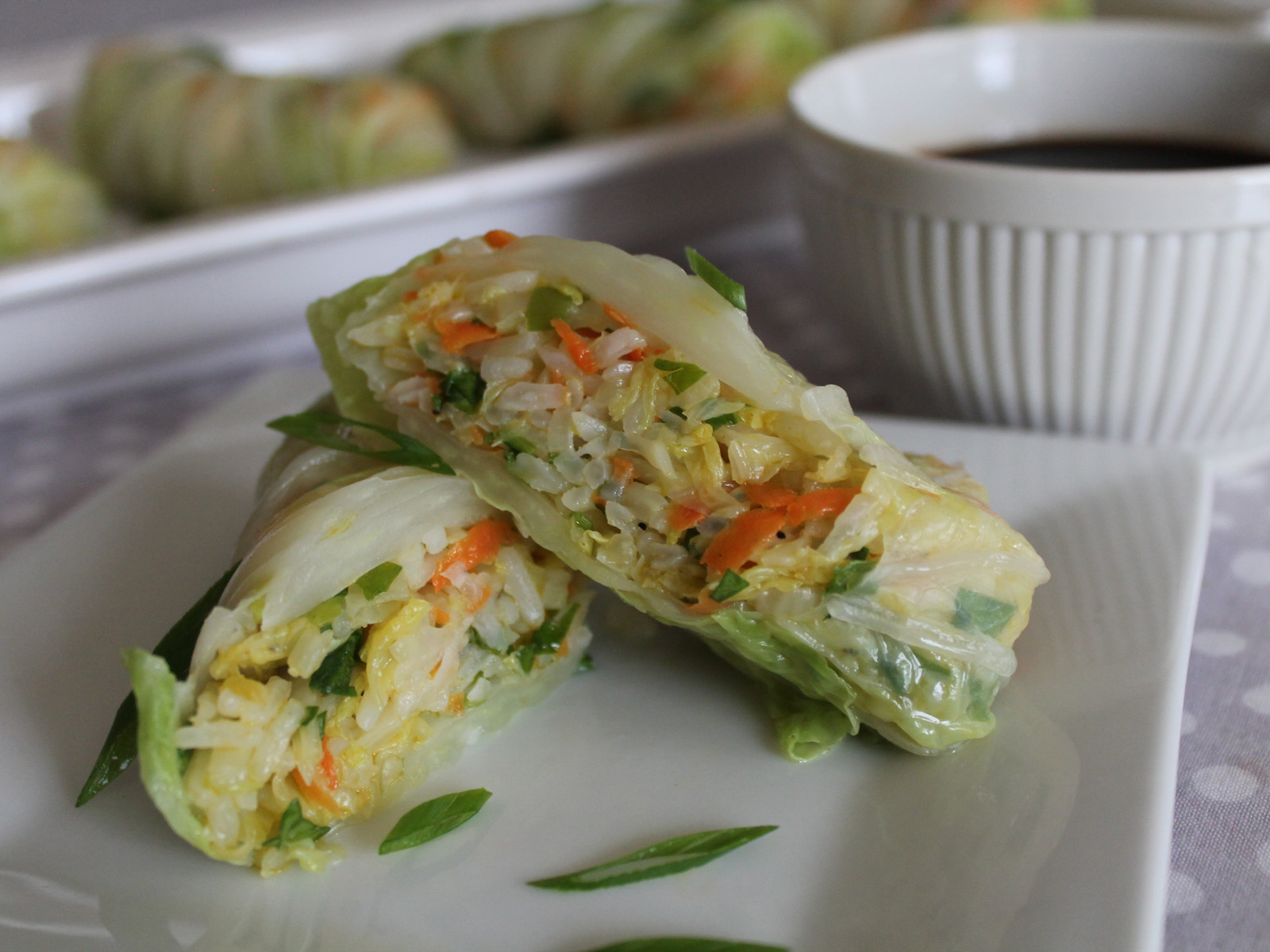 Povrtni svitci ( sarmice ) sa Napa kupusom ili keljom - Coolinarika