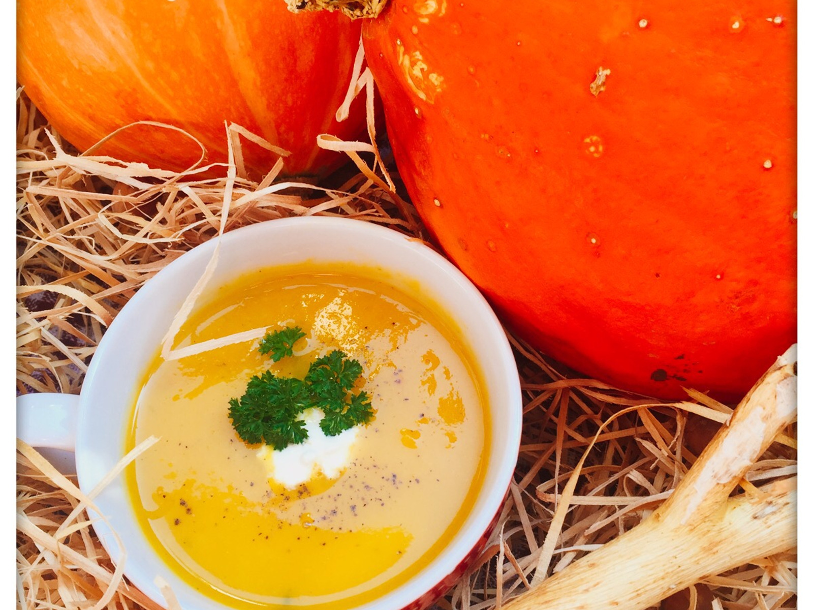 Krem supa od bundeve (tikve) - Coolinarika