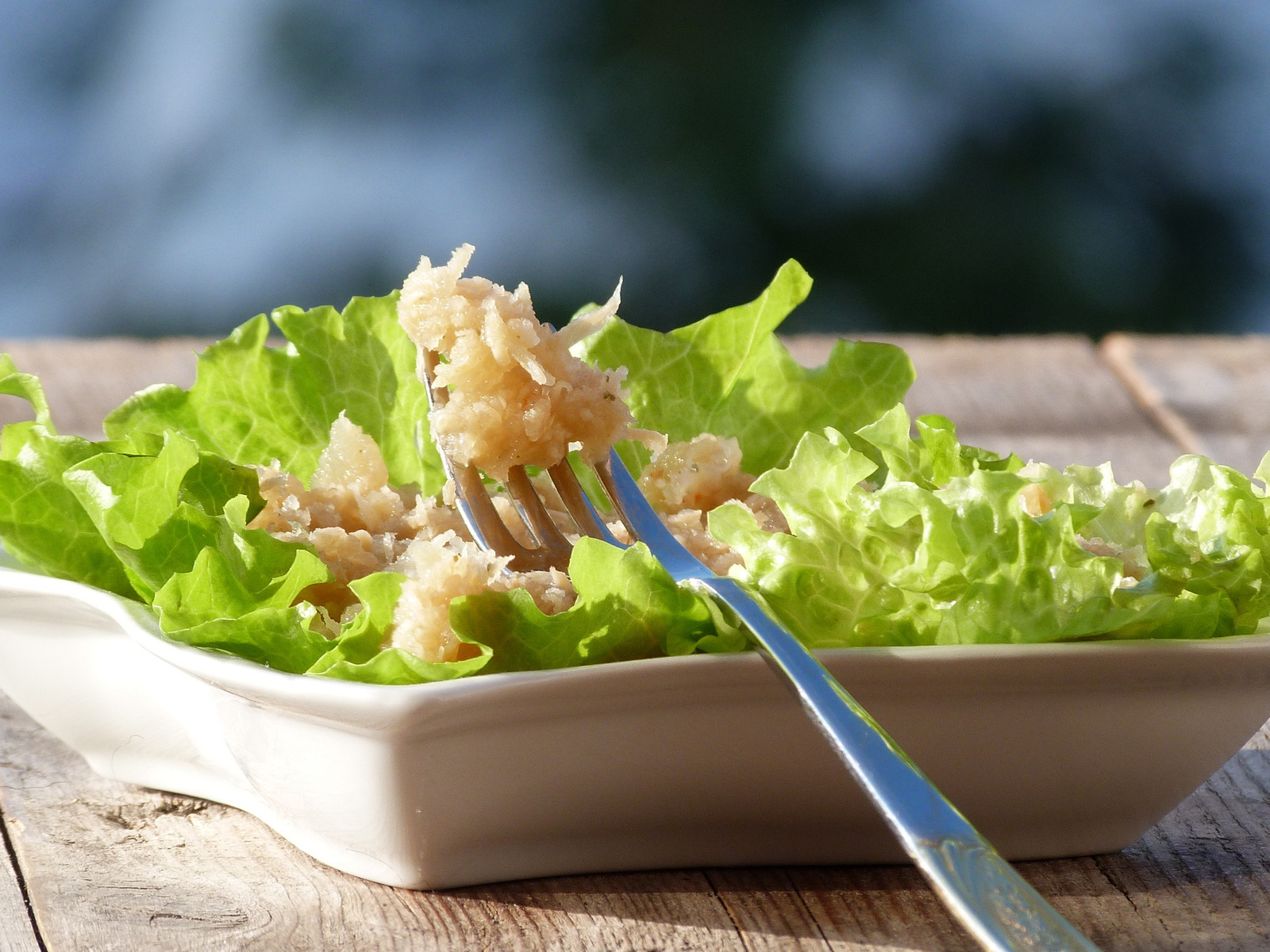 Hren s jabukama na salatu - Coolinarika