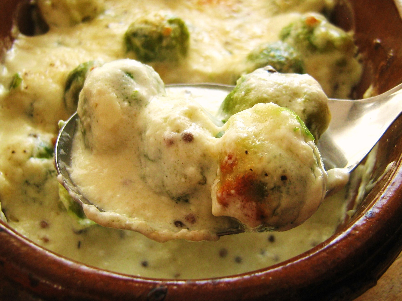 Prokelj - prokulica i slačica! :) - Coolinarika