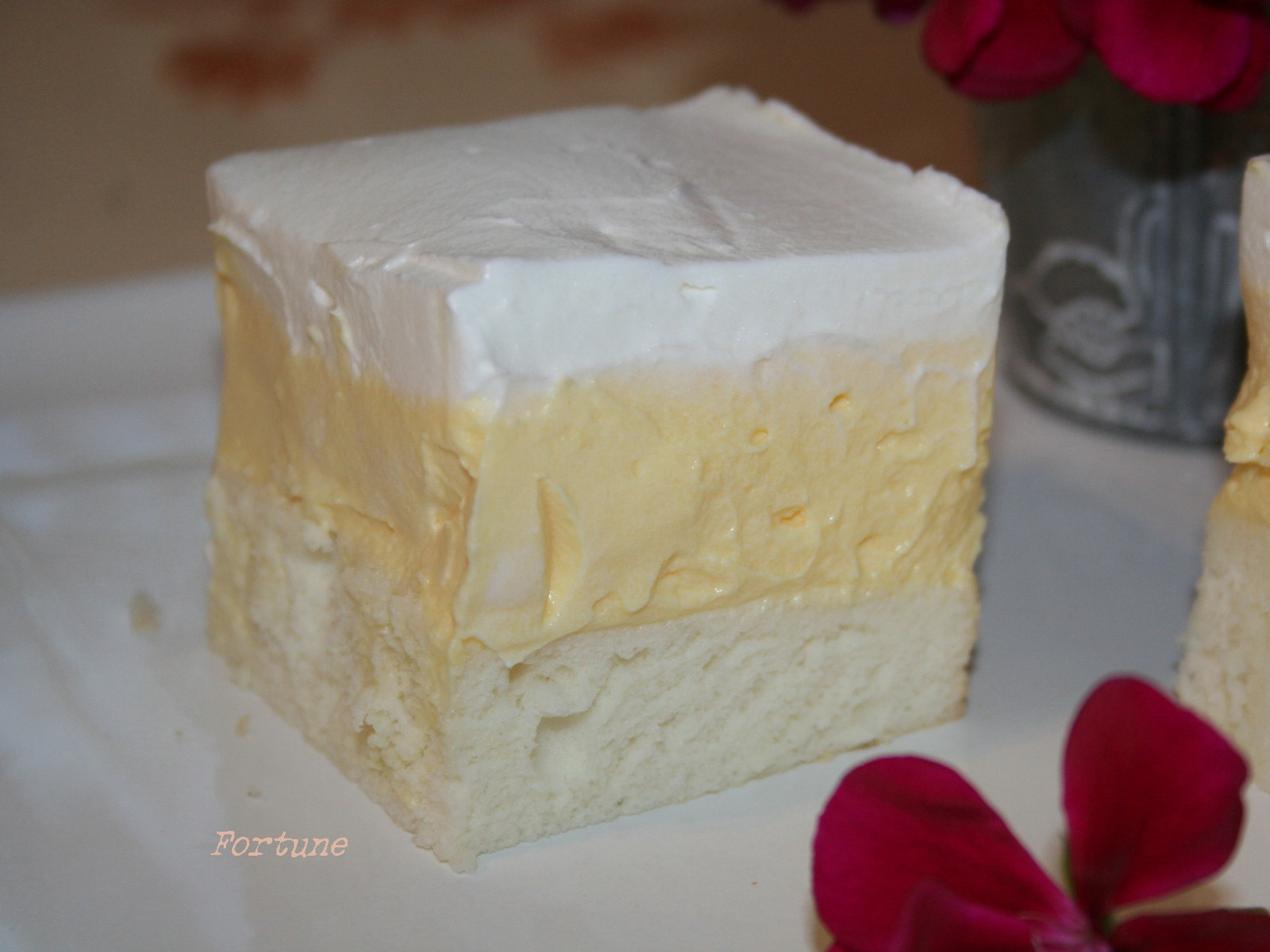 Ledene kocke - Coolinarika