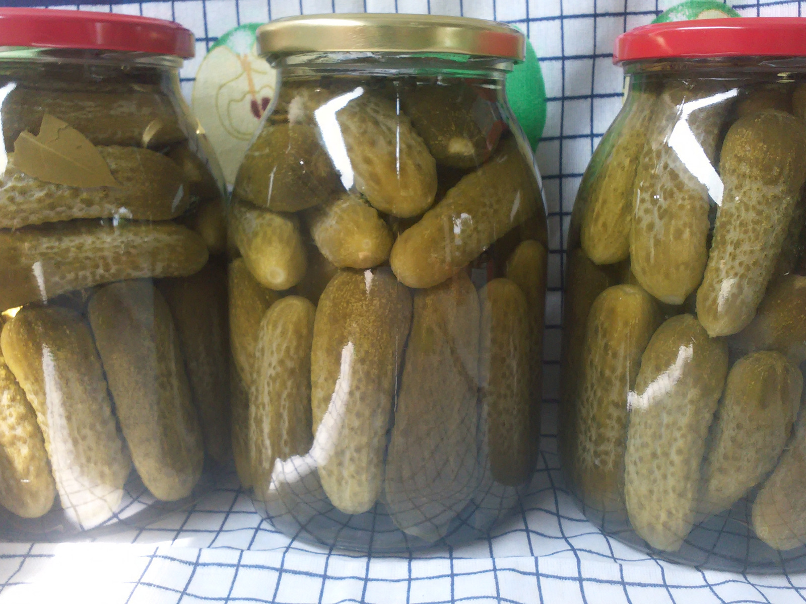 Kornisoni(zimnica) - Coolinarika