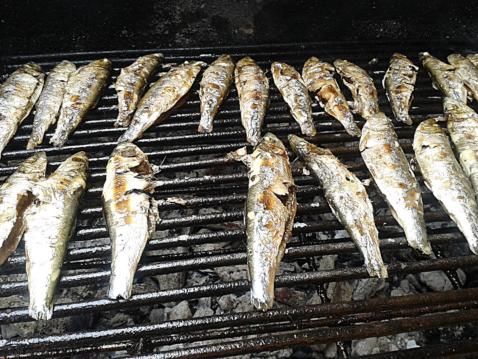 Srdele na gradele - Coolinarika