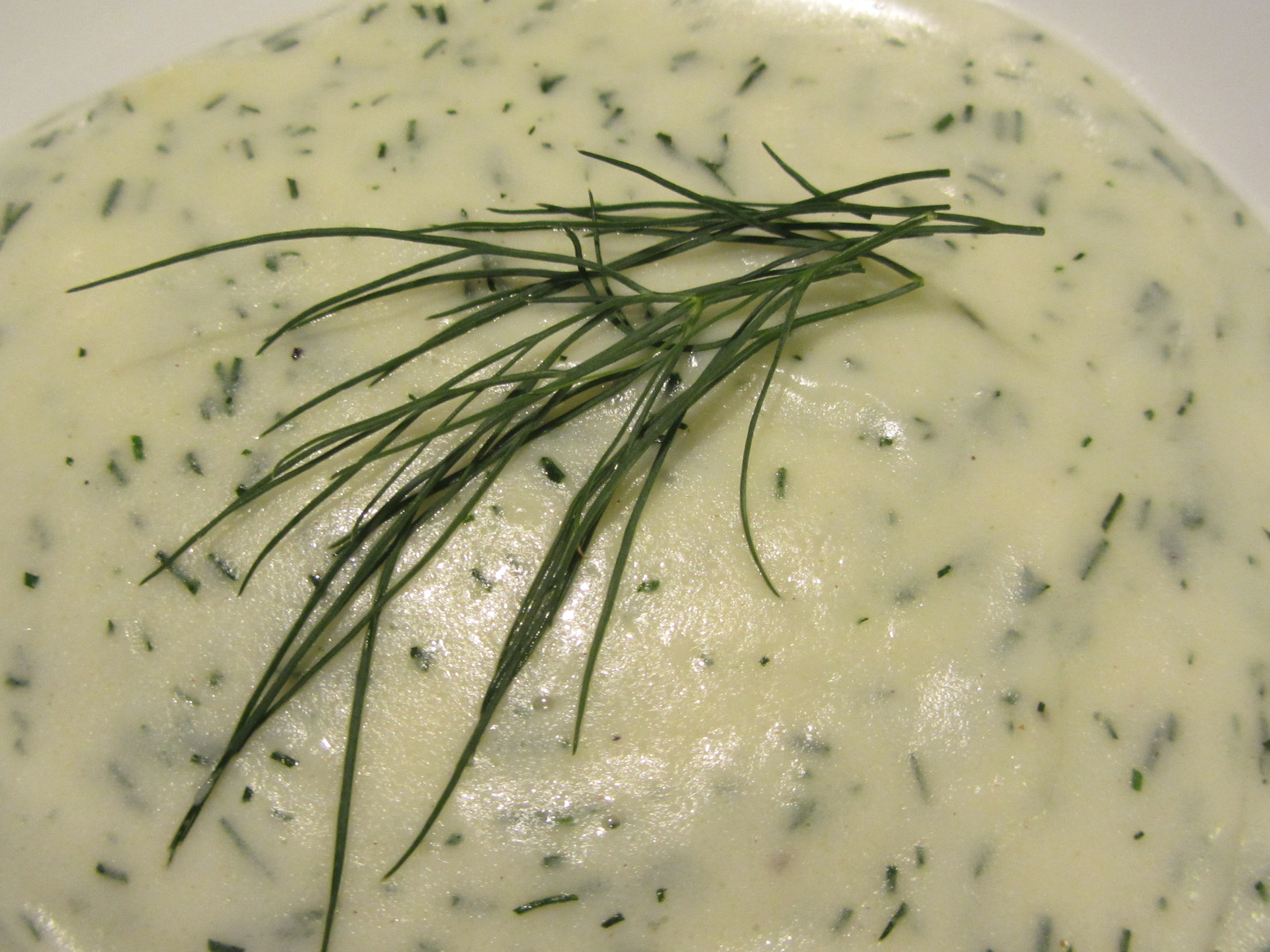 Umak od kopra - Coolinarika