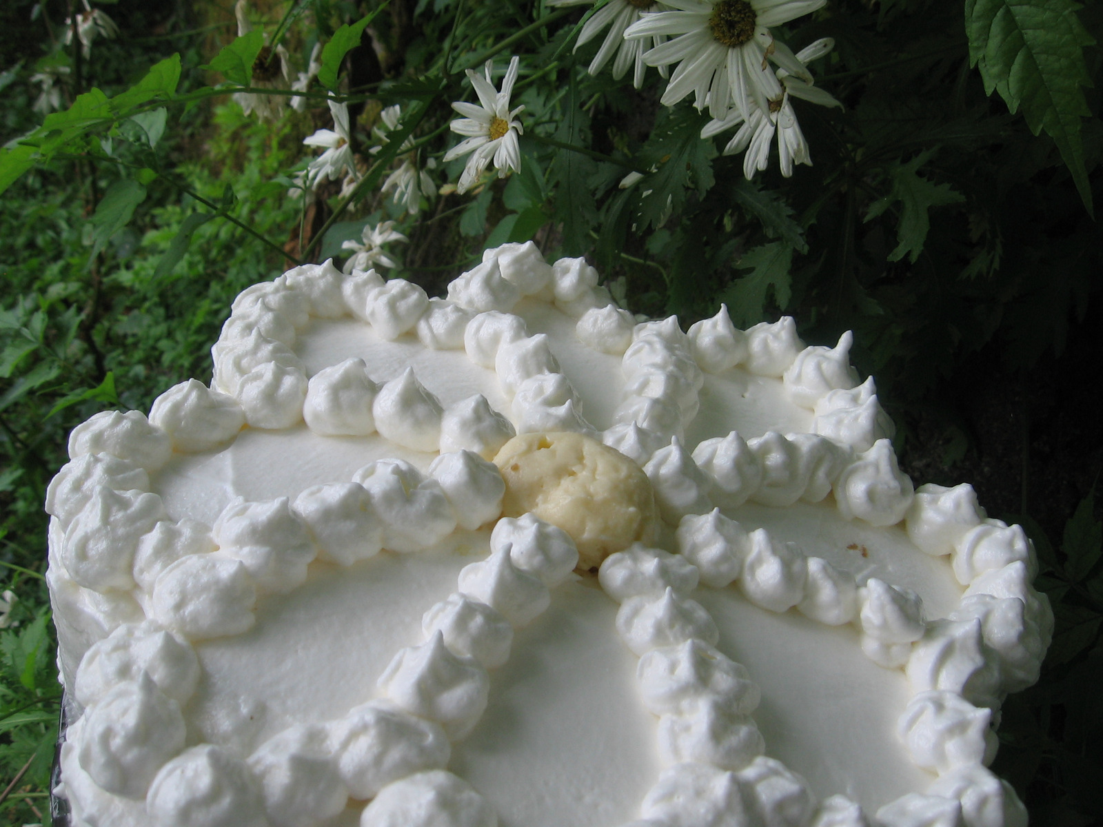 torta-bijela-rada - Coolinarika