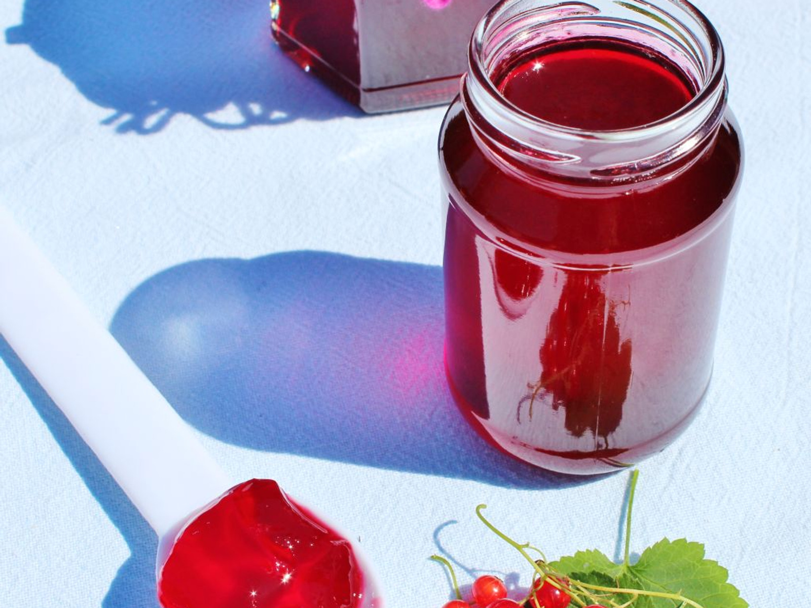 Zele od ribizle - Coolinarika