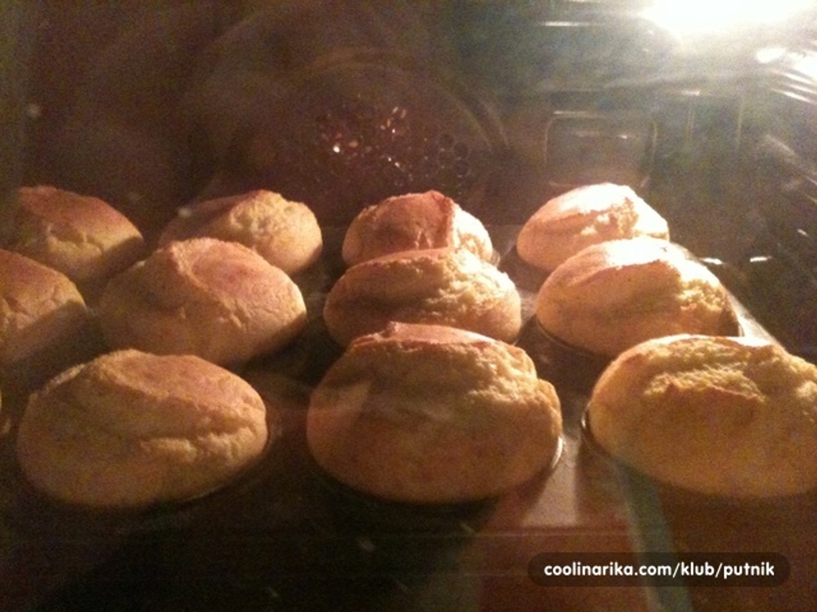 Projice - Coolinarika