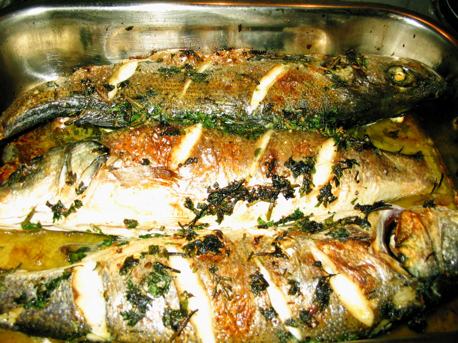 riba morska - Coolinarika