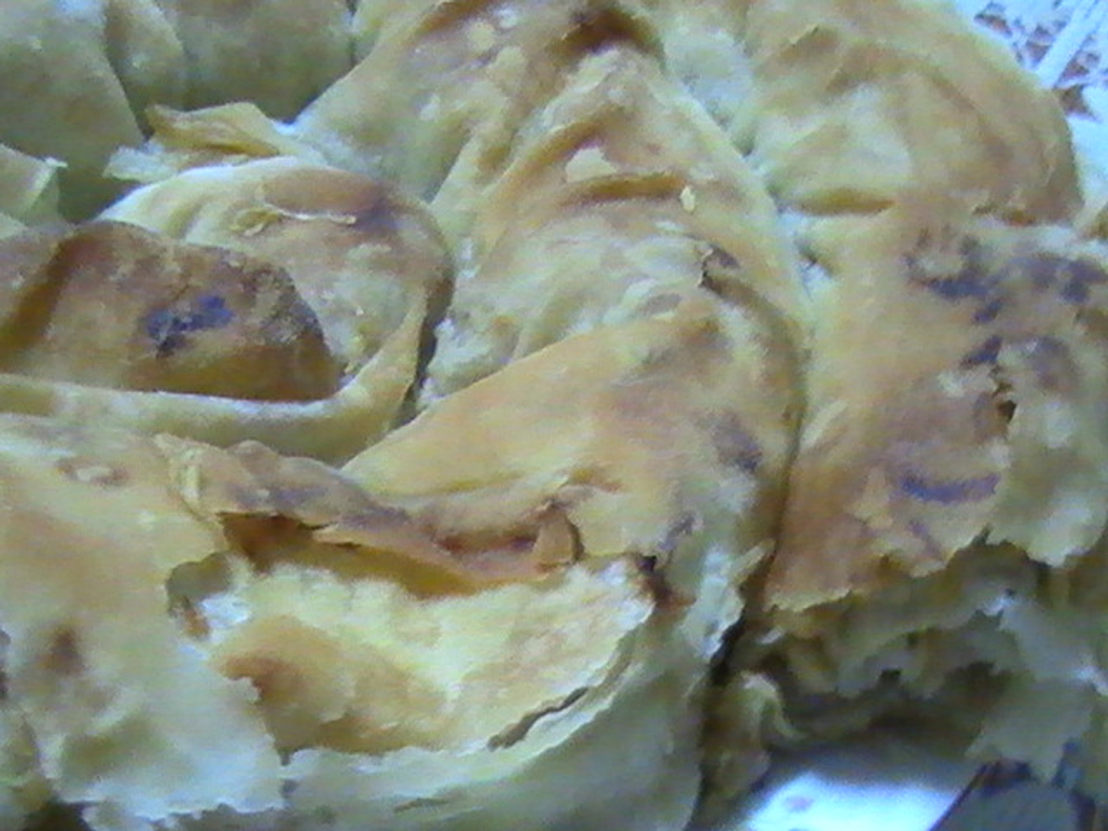 Makedonski zelnik so sveza zelka (kupus) - Coolinarika