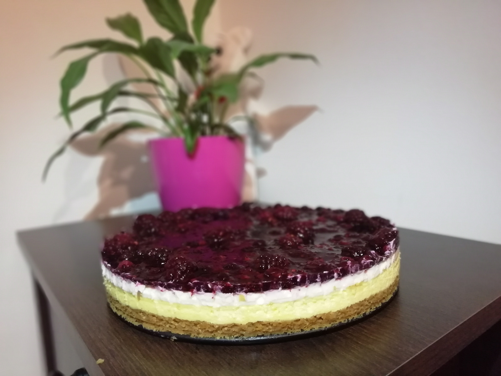 Cheesecake - Coolinarika