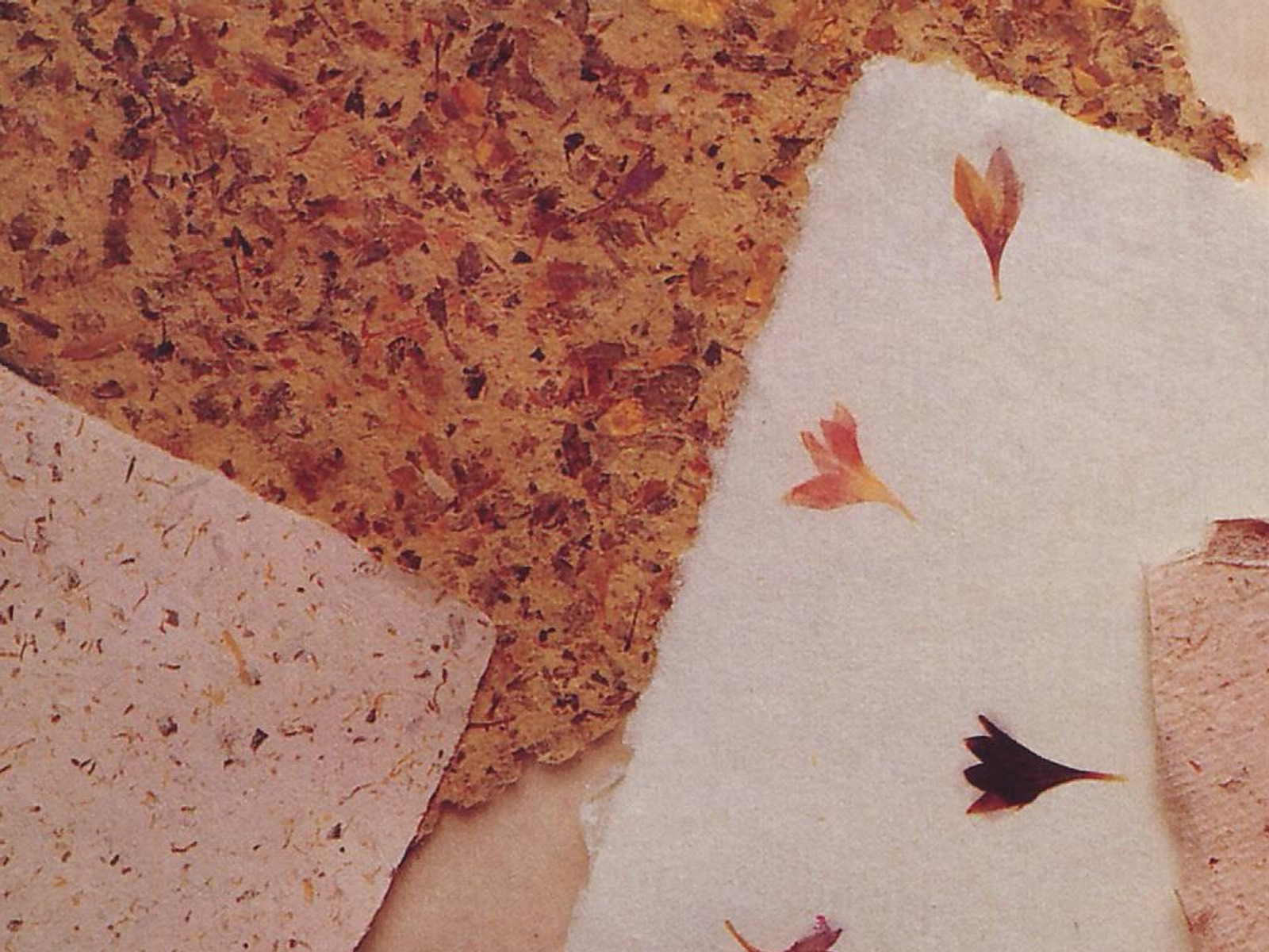 Izrada papira od starog papira i bilja - Coolinarika