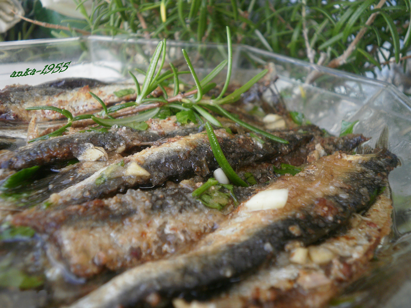 Marinirane srdele - Coolinarika