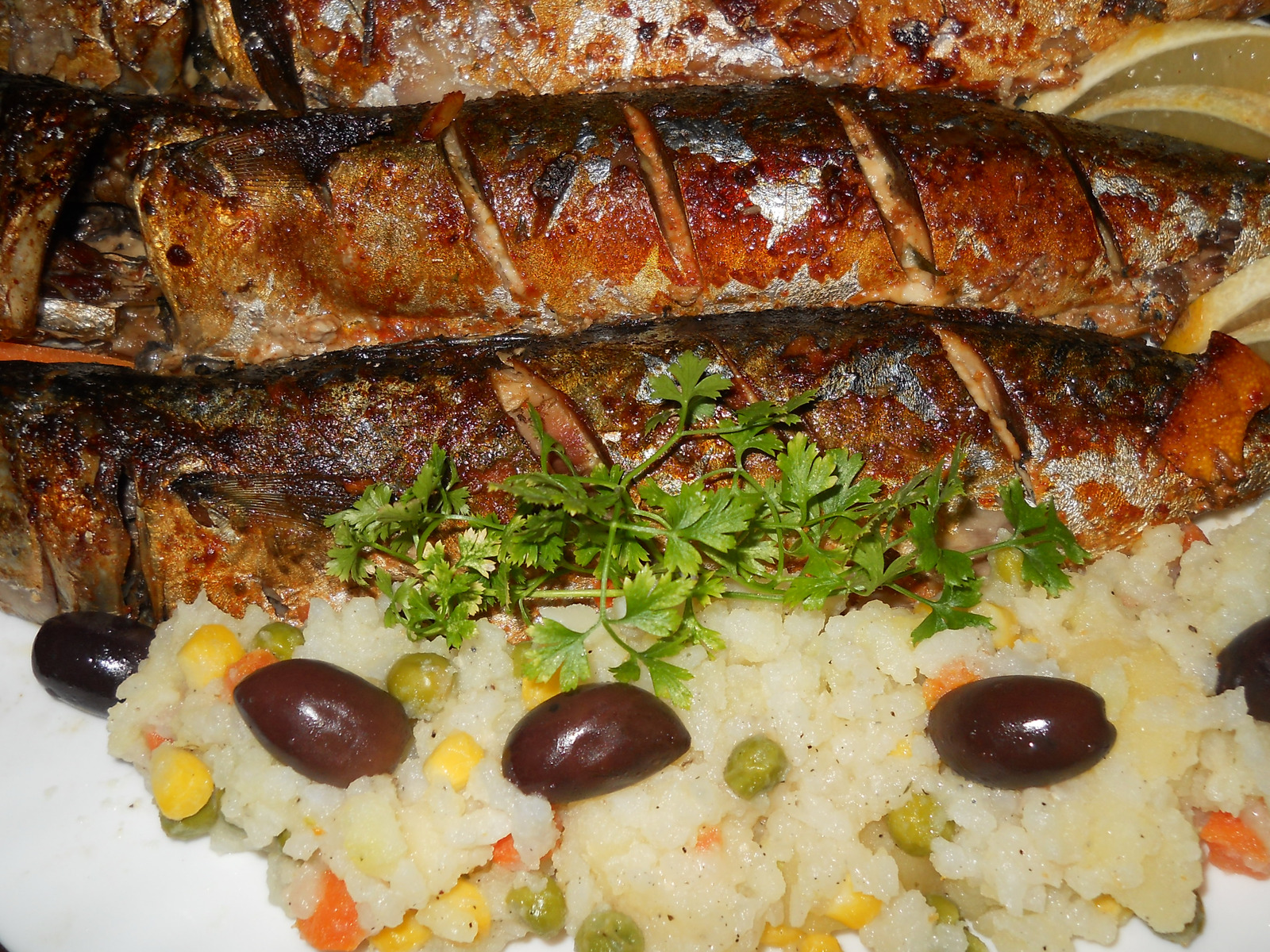 Skusa u rerni - Coolinarika