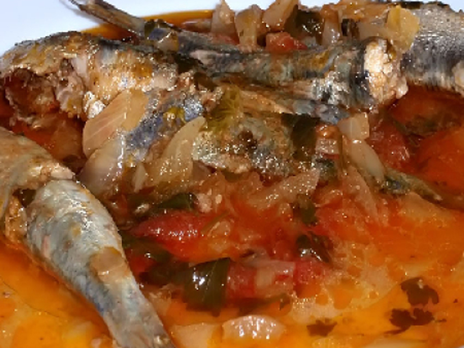 Sardela u paradajz sosu - Coolinarika