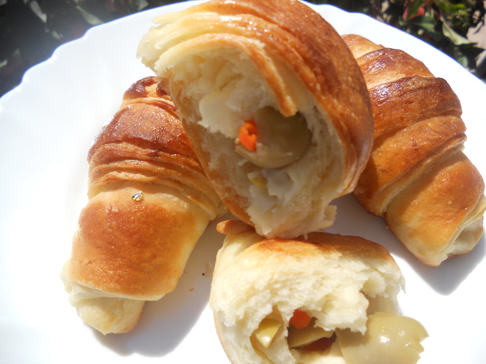 Kroasani Zdenka+maslinka - Coolinarika