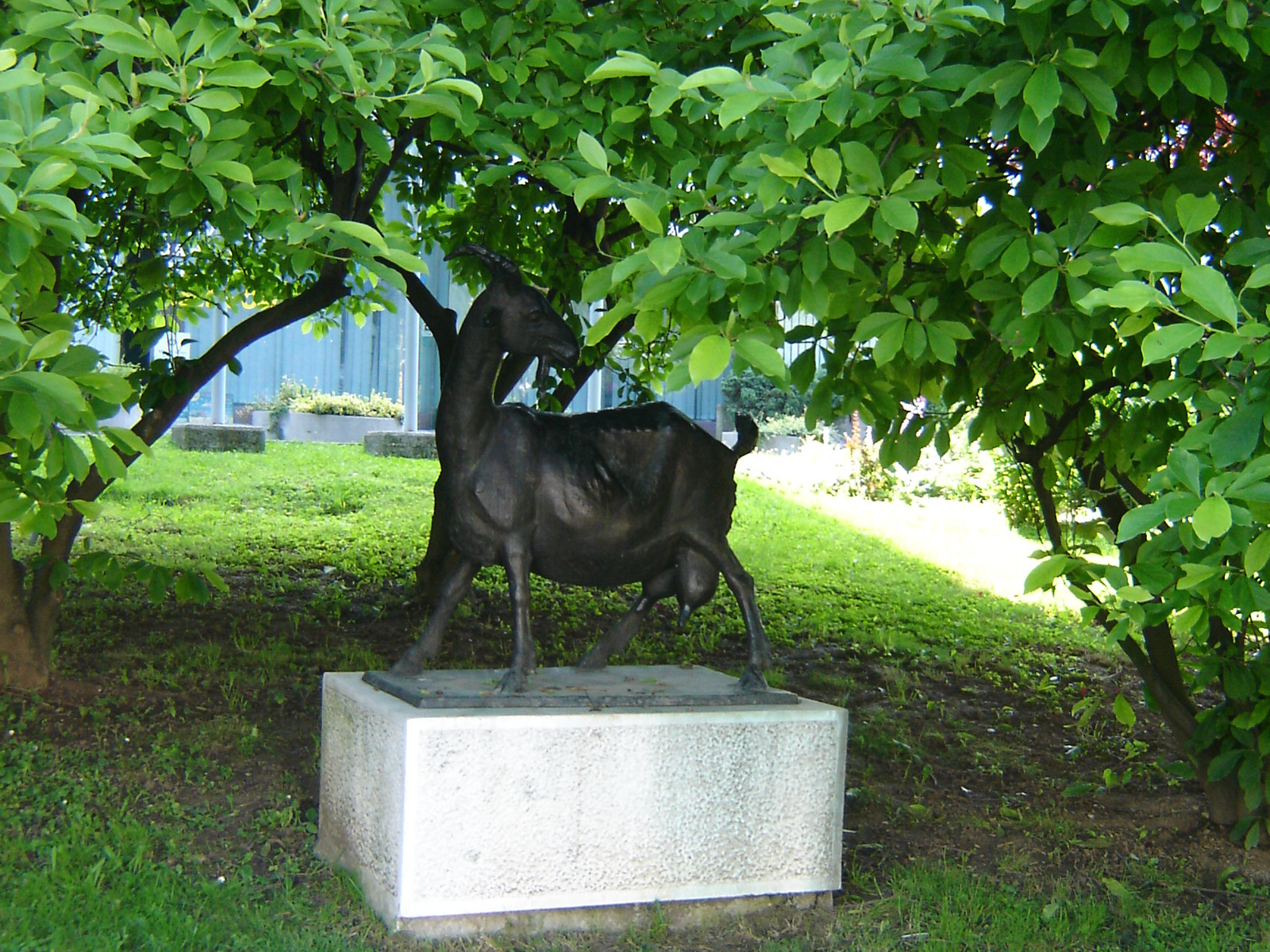 Voljeni grade moj ... (grad na zrnu soli) - Coolinarika