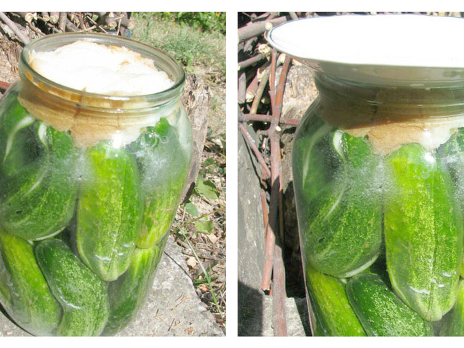 LETNJI KISELI KRASTAVAC-ZA TRI DANA NA SUNCU - Coolinarika