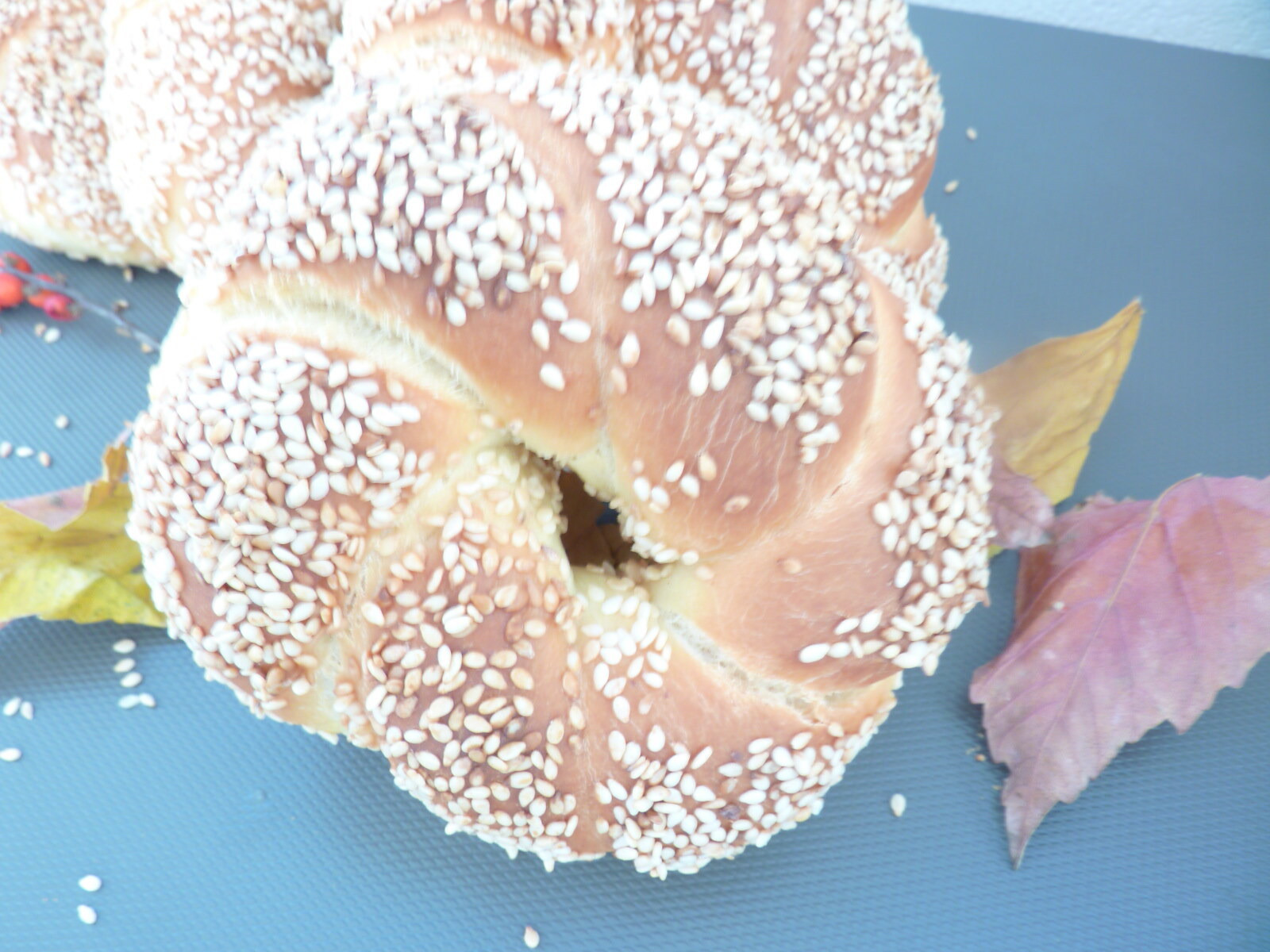 DJEVREK - Coolinarika