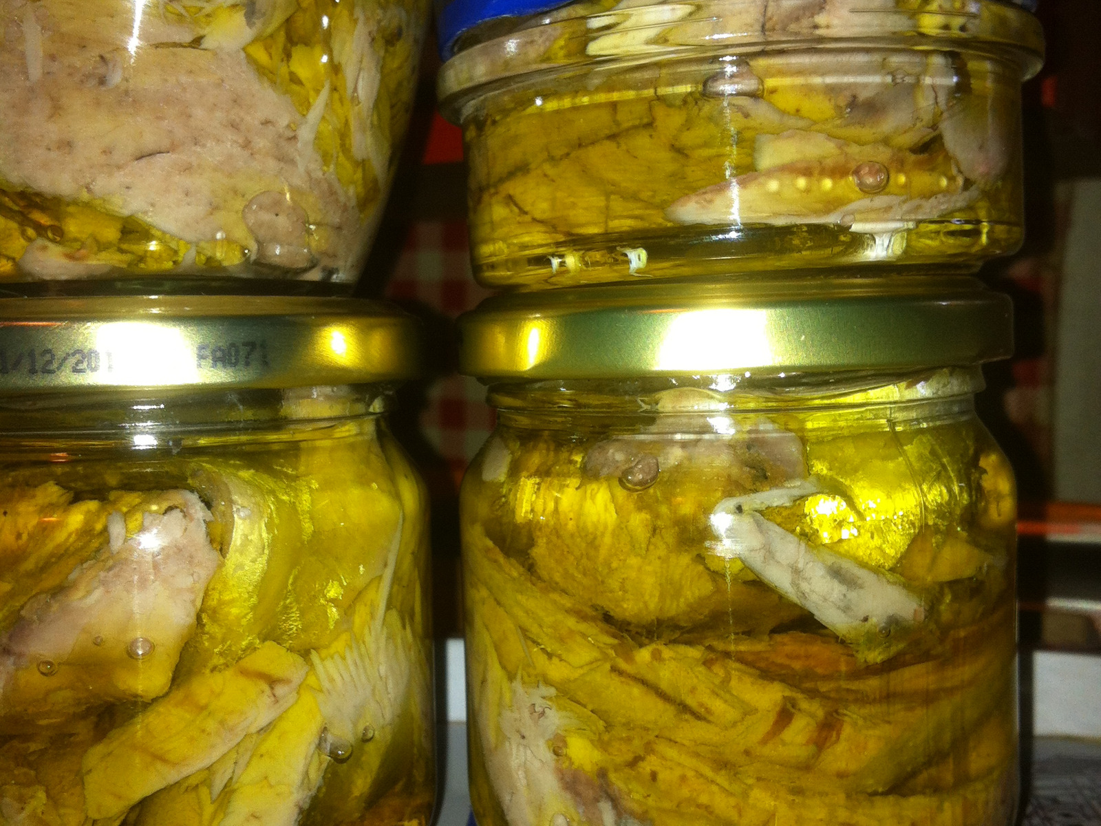 Palamida u staklenkama - Coolinarika