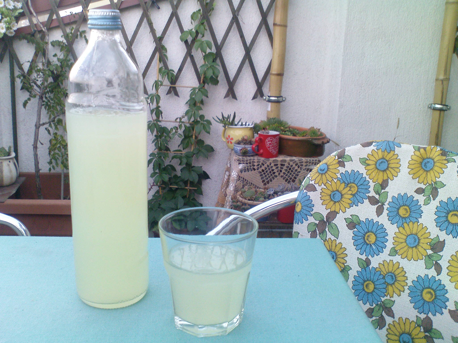 Domaći šveps - Coolinarika