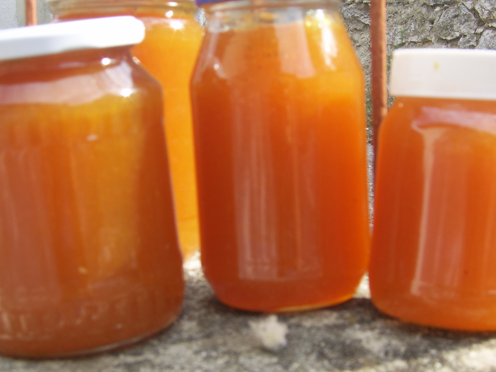 Amber nectar - Coolinarika