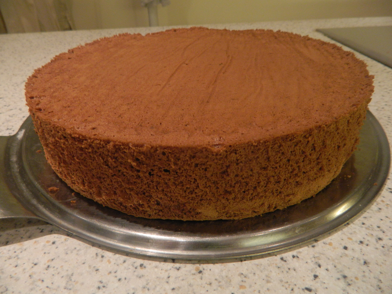 Biskvit za torte - odličan! - Coolinarika