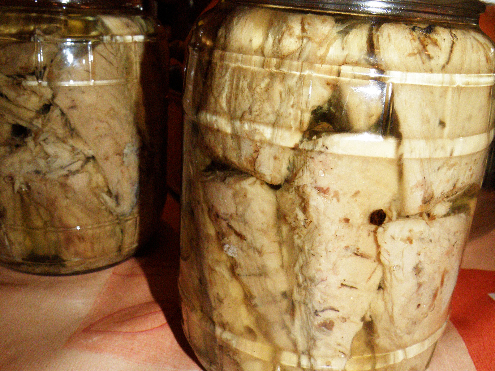 Palamida u ulju - Coolinarika