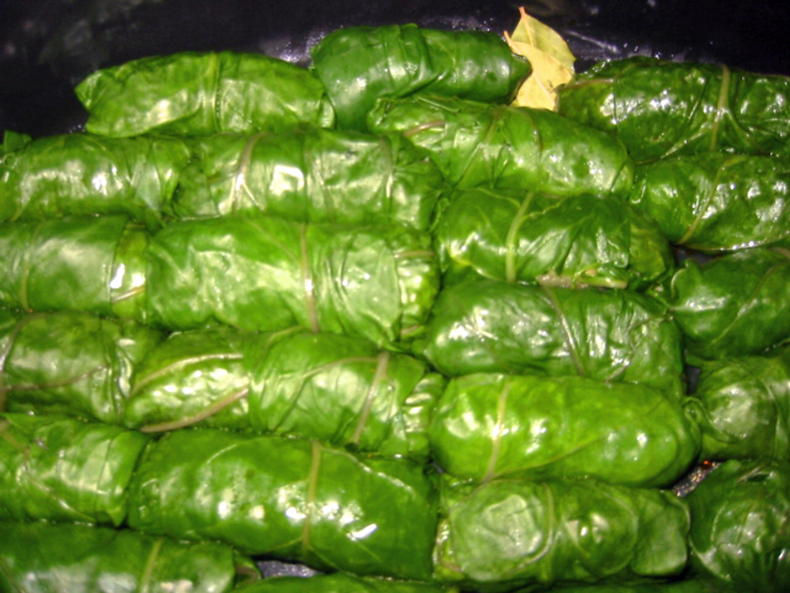 sarmica - Coolinarika