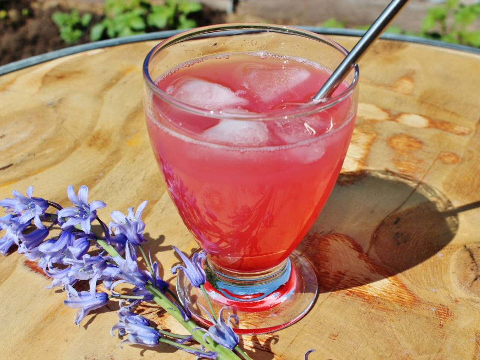 Rabarbera sirup/sok - Coolinarika