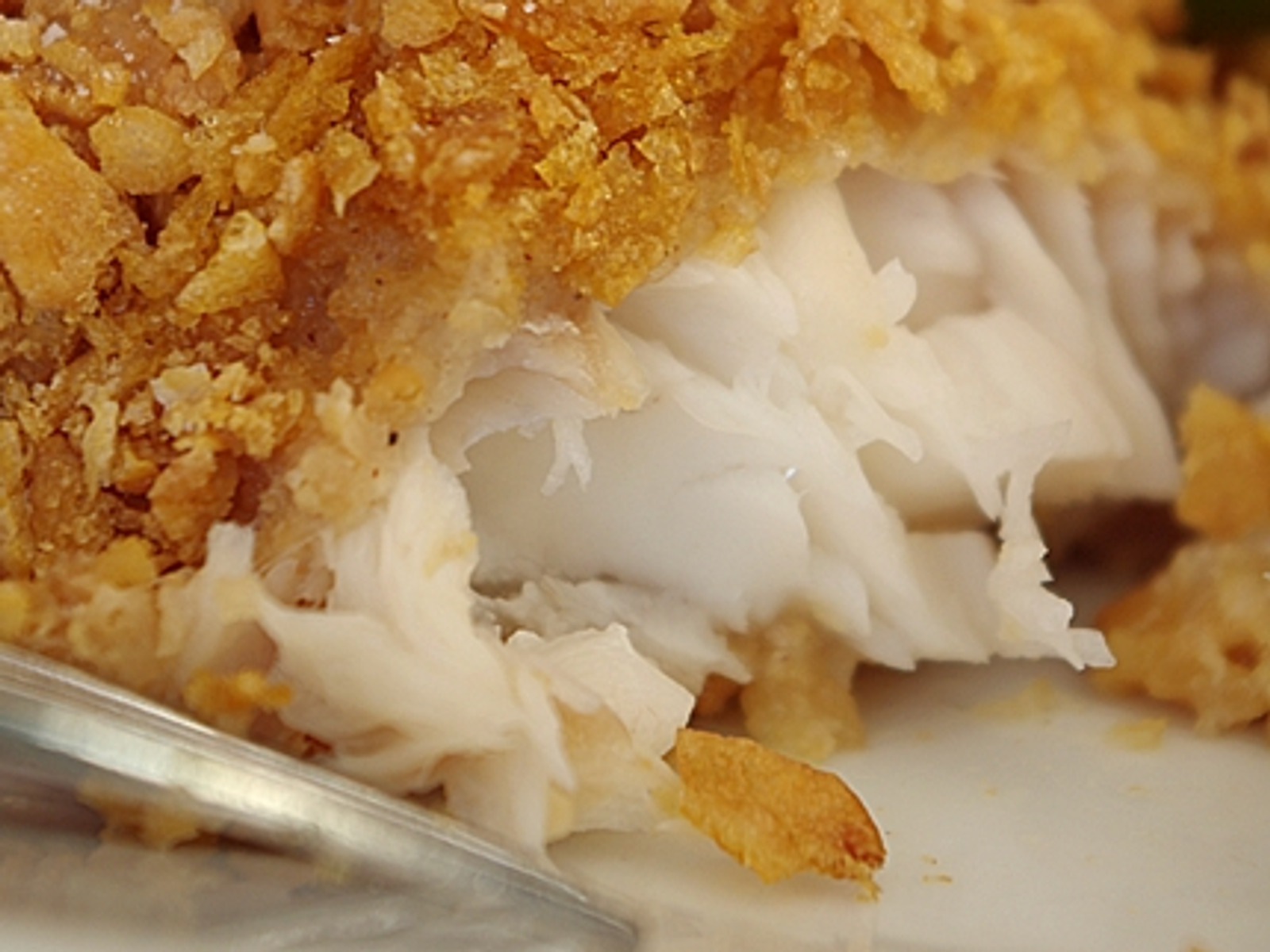 Panirani riblji fileti iz pecnice! - Coolinarika