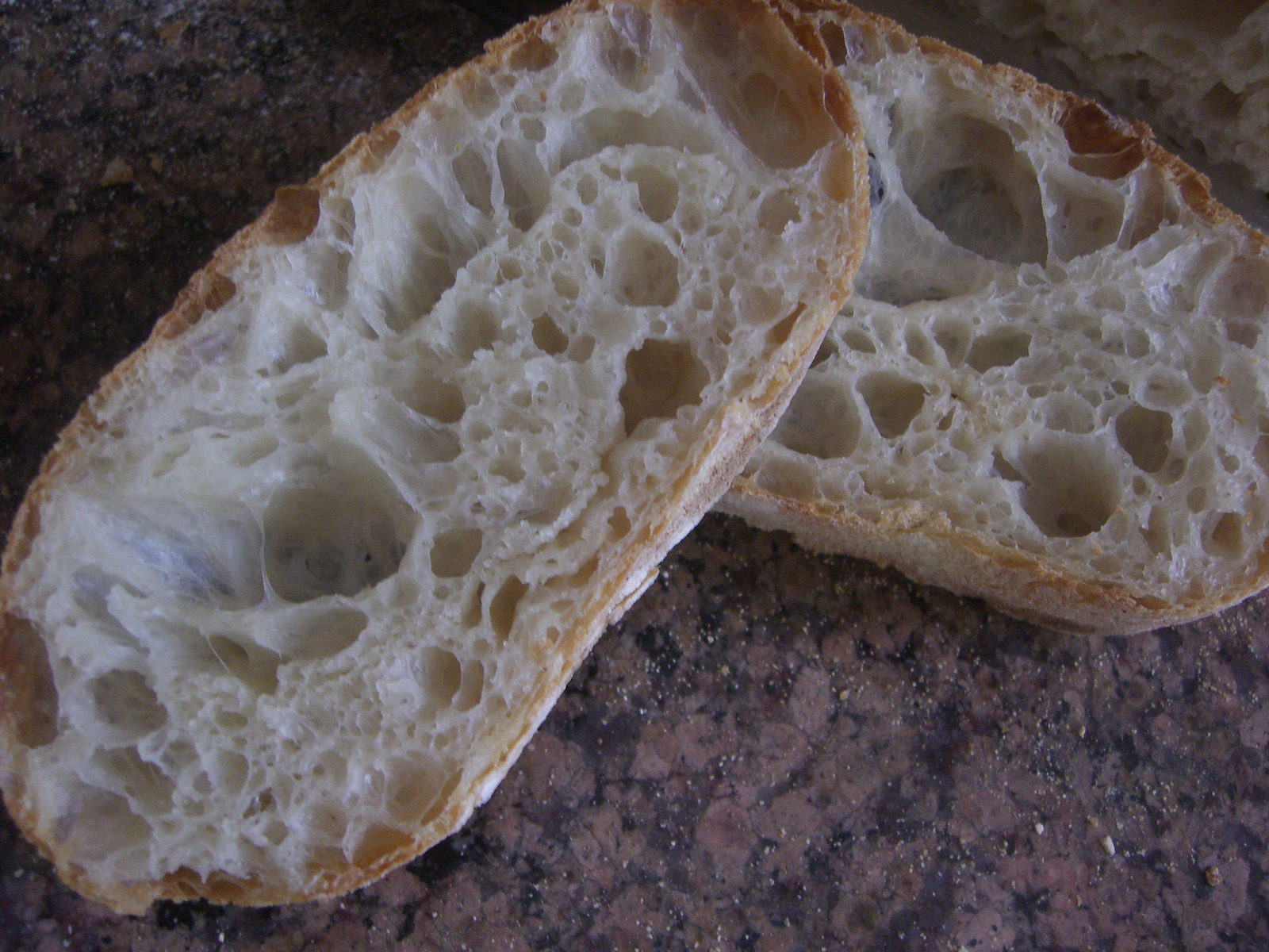Ciabatta (u originalu:”Jason`s Quick Coccodrillo Ciabatta Bread ...