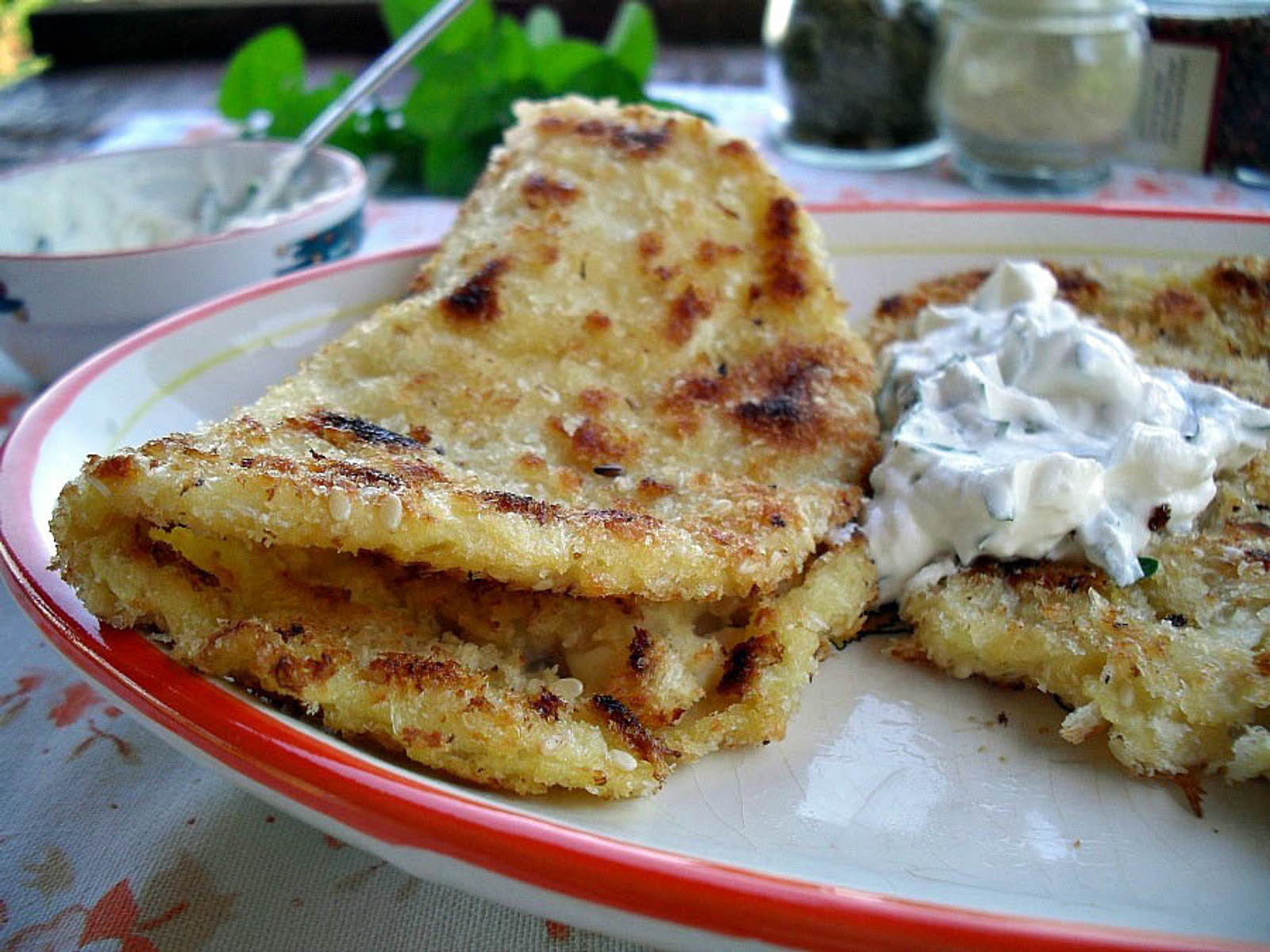 Pohovan kupus - Coolinarika