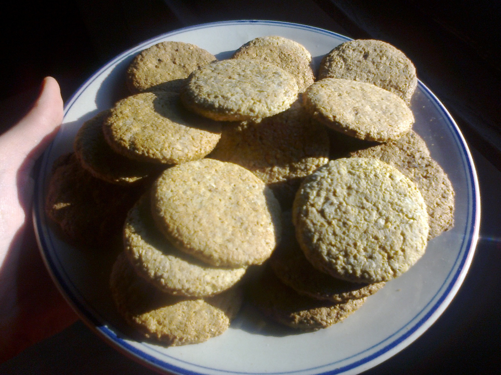 Domaci Wellness keks - Coolinarika