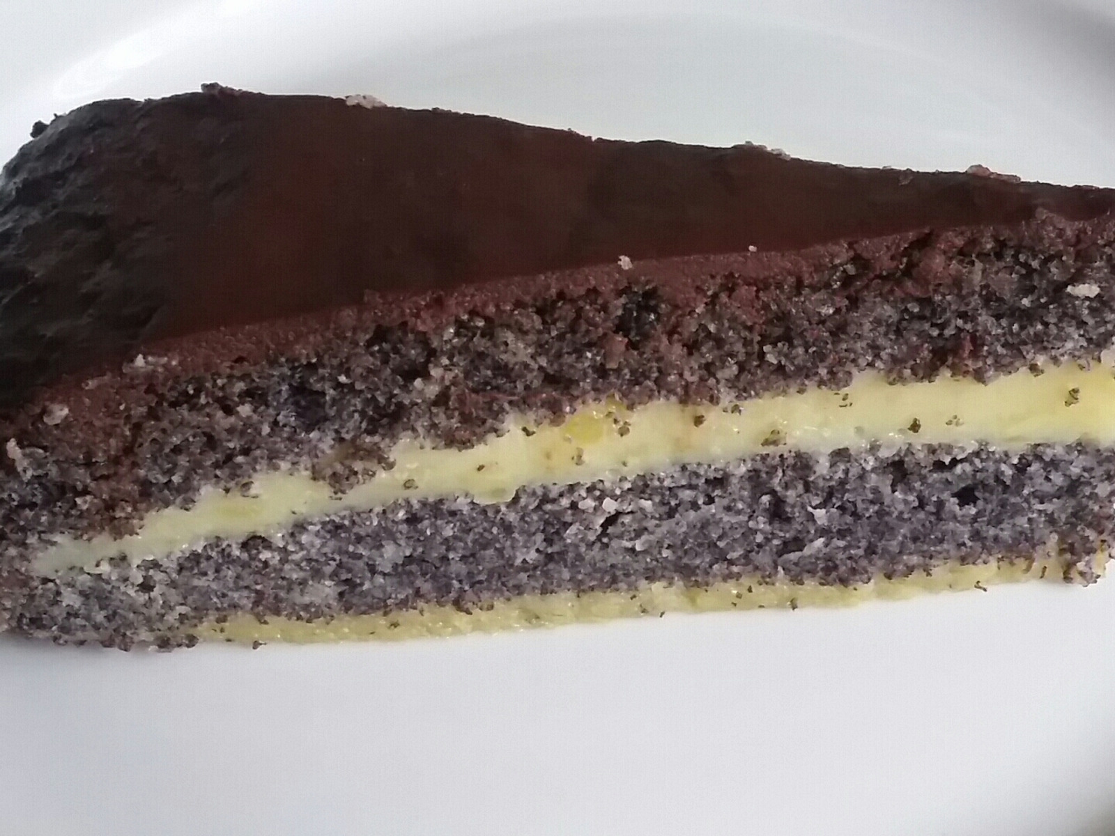 Mak torta bez brašna - Coolinarika