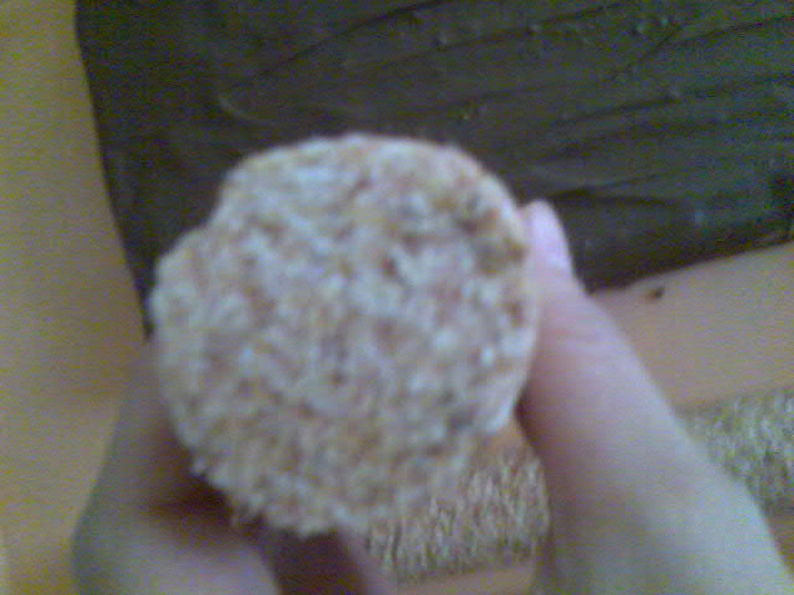 Susam rolat - Coolinarika